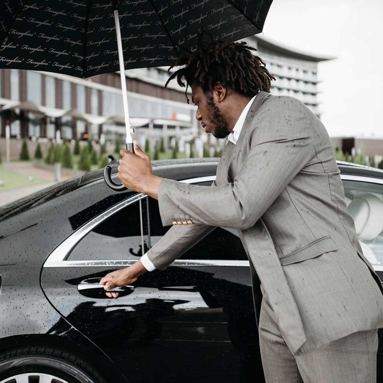 Premium Vehicles – LuxeDrive